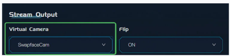 Use swapface for video chatting and live streaming on Windows PC! – Swapface